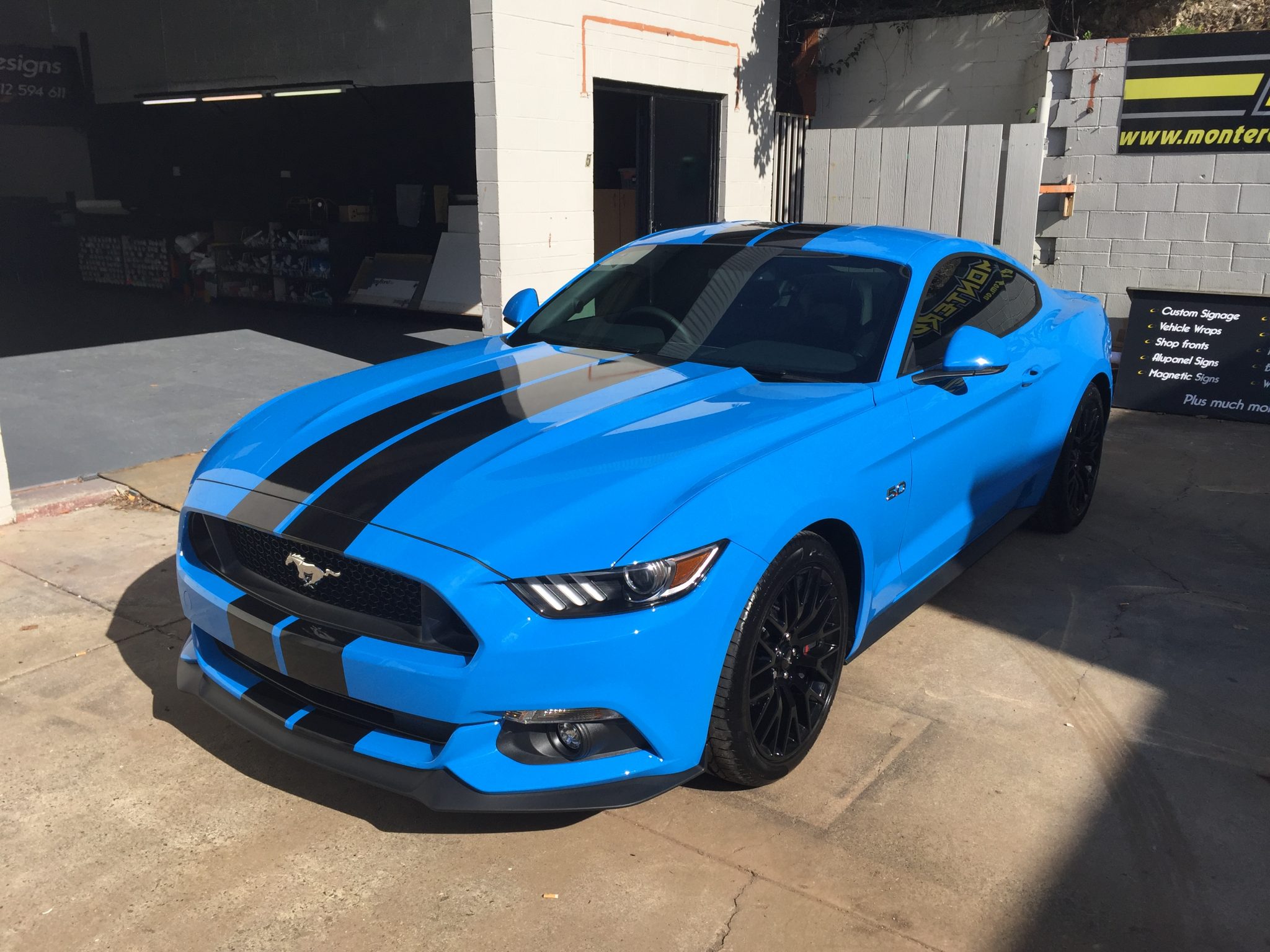 Ford Mustang GT Stripes Gallery - Montereys