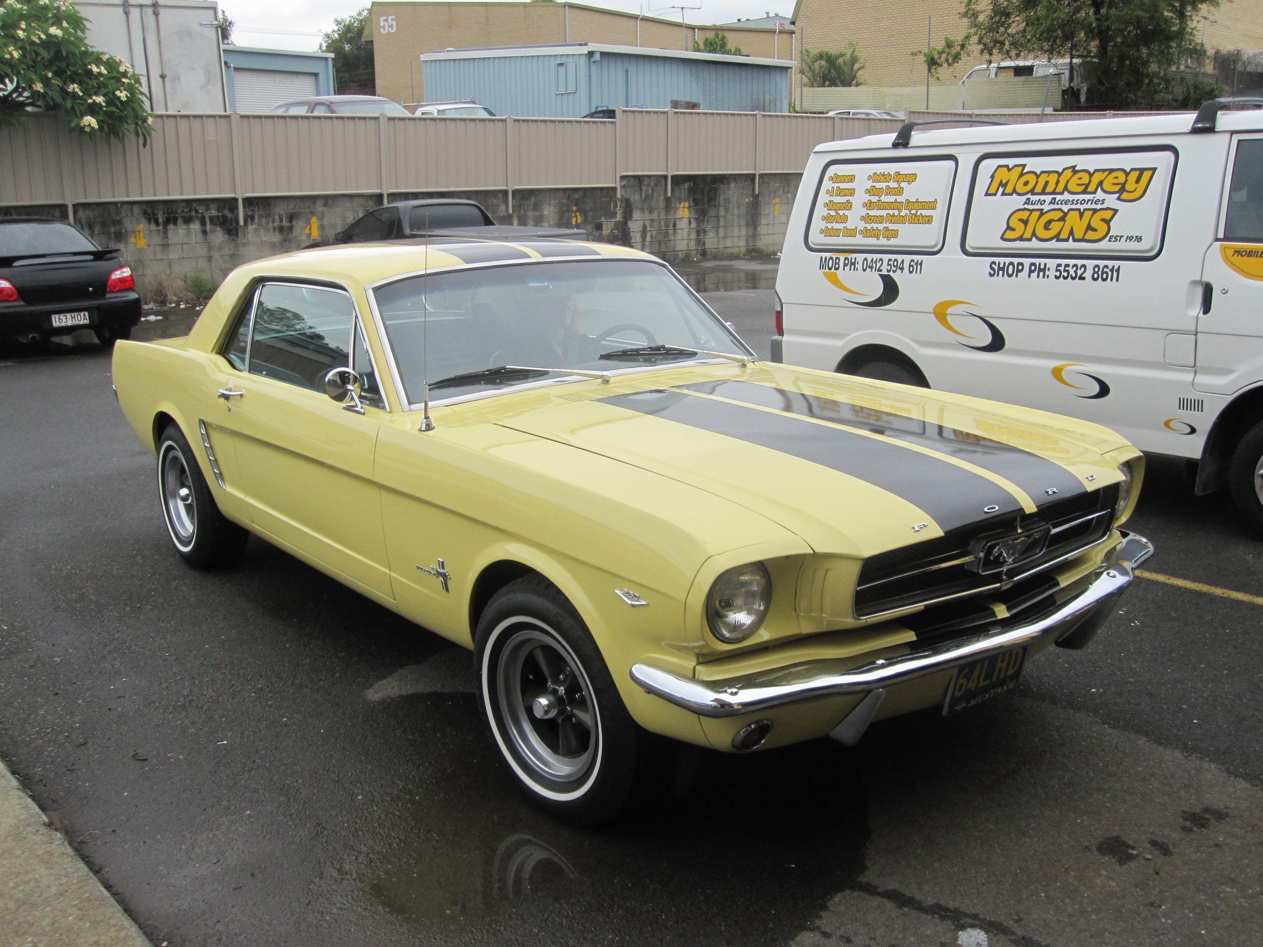 Custom GT Stripes Gallery - Montereys