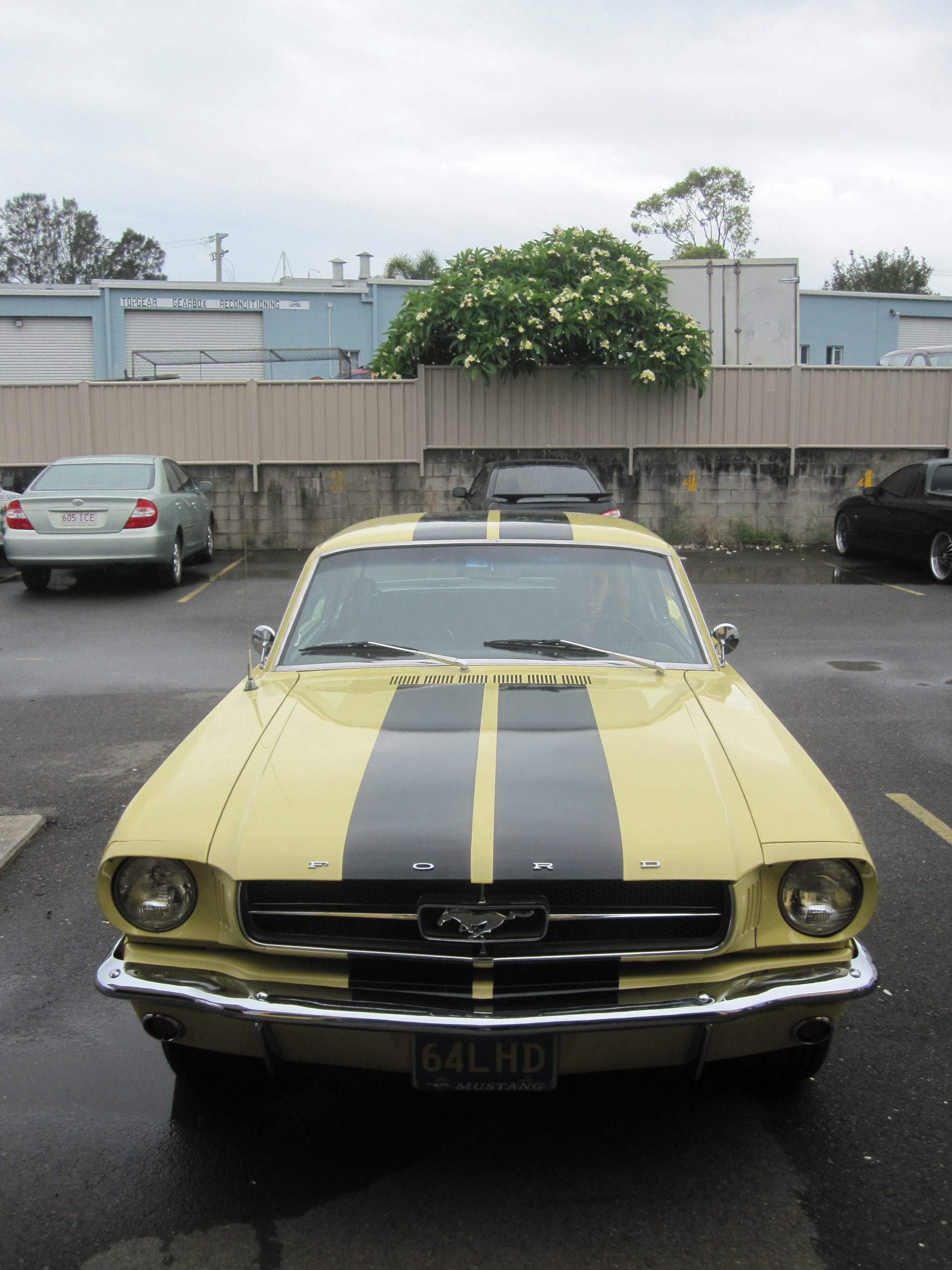 Custom GT Stripes Gallery - Montereys